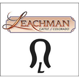 Leachman Cattle Of Colorado - Crunchbase Company Profile & Funding