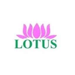 Lotus Technology - Crunchbase Company Profile & Funding