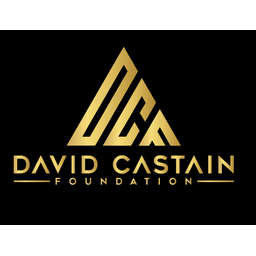 David Castain Foundation - Crunchbase Company Profile & Funding