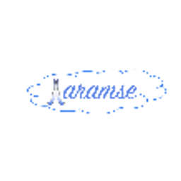 Aramse - Crunchbase Company Profile & Funding