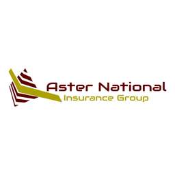 Aster National Insurance Group - Crunchbase Company Profile & Funding