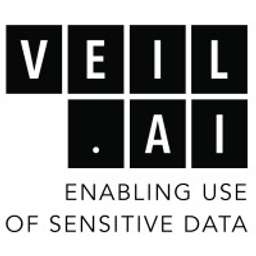 Veil.ai - Tech Details