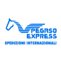 Pegaso Express - Crunchbase Company Profile & Funding