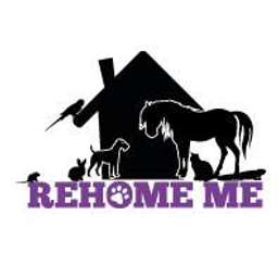 Rehome Me - Crunchbase Company Profile & Funding