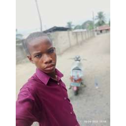 Michael Chinemerem - Crunchbase Person Profile