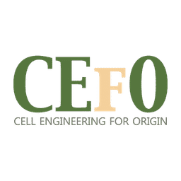CEFO - Crunchbase Company Profile & Funding