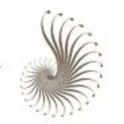 Perfection Plastic Surgery and Skin Care - Crunchbase Company Profile ...