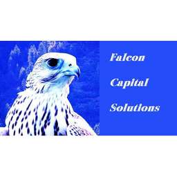 Falcon Capital Solutions - Crunchbase Company Profile & Funding