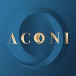 The Aconi - Crunchbase Company Profile & Funding