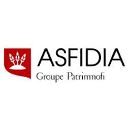 Asfidia