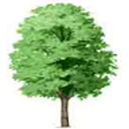 Maple Tree Capital - Crunchbase Company Profile & Funding