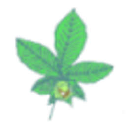 Arscott Golf Club - Crunchbase Company Profile & Funding