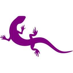 Lizard Digital - Crunchbase Company Profile & Funding