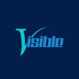 Visible Computer Enterprises - Tech Details