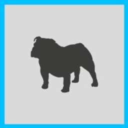 Buldok Marketing - Crunchbase Company Profile & Funding