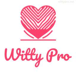 Witty Pro - Crunchbase Company Profile & Funding