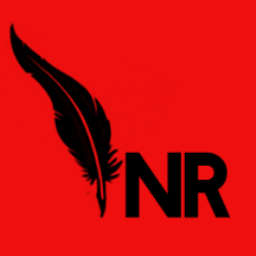 The Norwich Radical - Tech Details