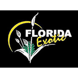 Florida Exotic - Crunchbase Company Profile & Funding