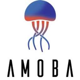 Amoba Software - Crunchbase Company Profile & Funding