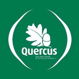 Quercus - Crunchbase Company Profile & Funding