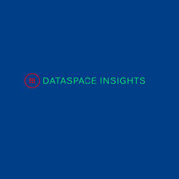 Dataspace Insights - Tech Details
