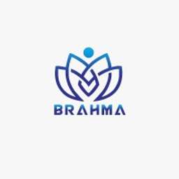 Brahma Consulting Group - Crunchbase Company Profile & Funding