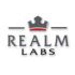 Realm Labs - Crunchbase Company Profile & Funding