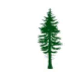 Cedar Realty Management - Crunchbase Company Profile & Funding