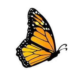 Monarch Tracking - Tech Details