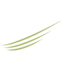 Asia Consultancy Group - Crunchbase Company Profile & Funding