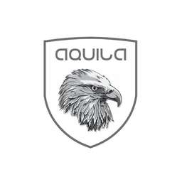 Aquila Motors - Crunchbase Company Profile & Funding