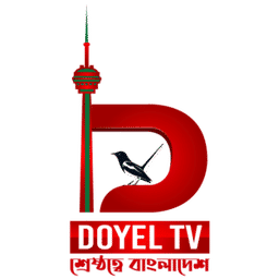 Doyel tv - Crunchbase Company Profile & Funding