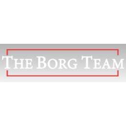 The Borg Team - Crunchbase Company Profile & Funding