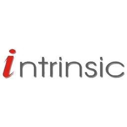 Intrinsic Solutions - Crunchbase Company Profile & Funding
