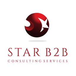 Star B2B Consulting Services - Crunchbase Company Profile & Funding