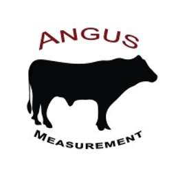 Angus Measurement Services