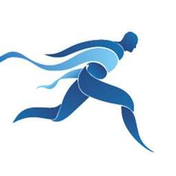 Pace Infonet Web Solutions - Crunchbase Company Profile & Funding