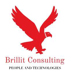 Brillit Consulting - Crunchbase Company Profile & Funding