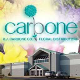 R J Carbone Co