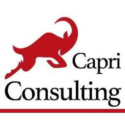 CAPRI CONSULTING LTD. - Crunchbase Company Profile & Funding