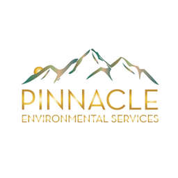 Pinnacle Environmental Services - Crunchbase Company Profile & Funding