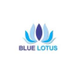 Blue Lotus Support Services - Tech Details