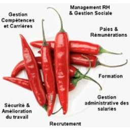 Alithia - Crunchbase Company Profile & Funding