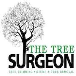 The Tree Surgeon - Crunchbase Company Profile & Funding
