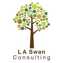 LA Swan Consulting - Tech Details