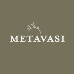 Metavasi Capital
