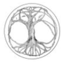 Infinite Branches - Crunchbase Company Profile & Funding