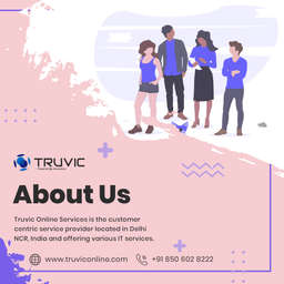 Truvic Online - Crunchbase Company Profile & Funding