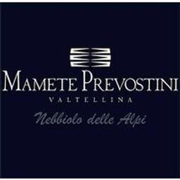 Mamete Prevostini - Crunchbase Company Profile & Funding
