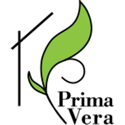 Primavera Team - Crunchbase Company Profile & Funding